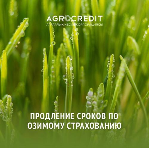 АО "Аграрная кредитная корпорация" - Agrocredit